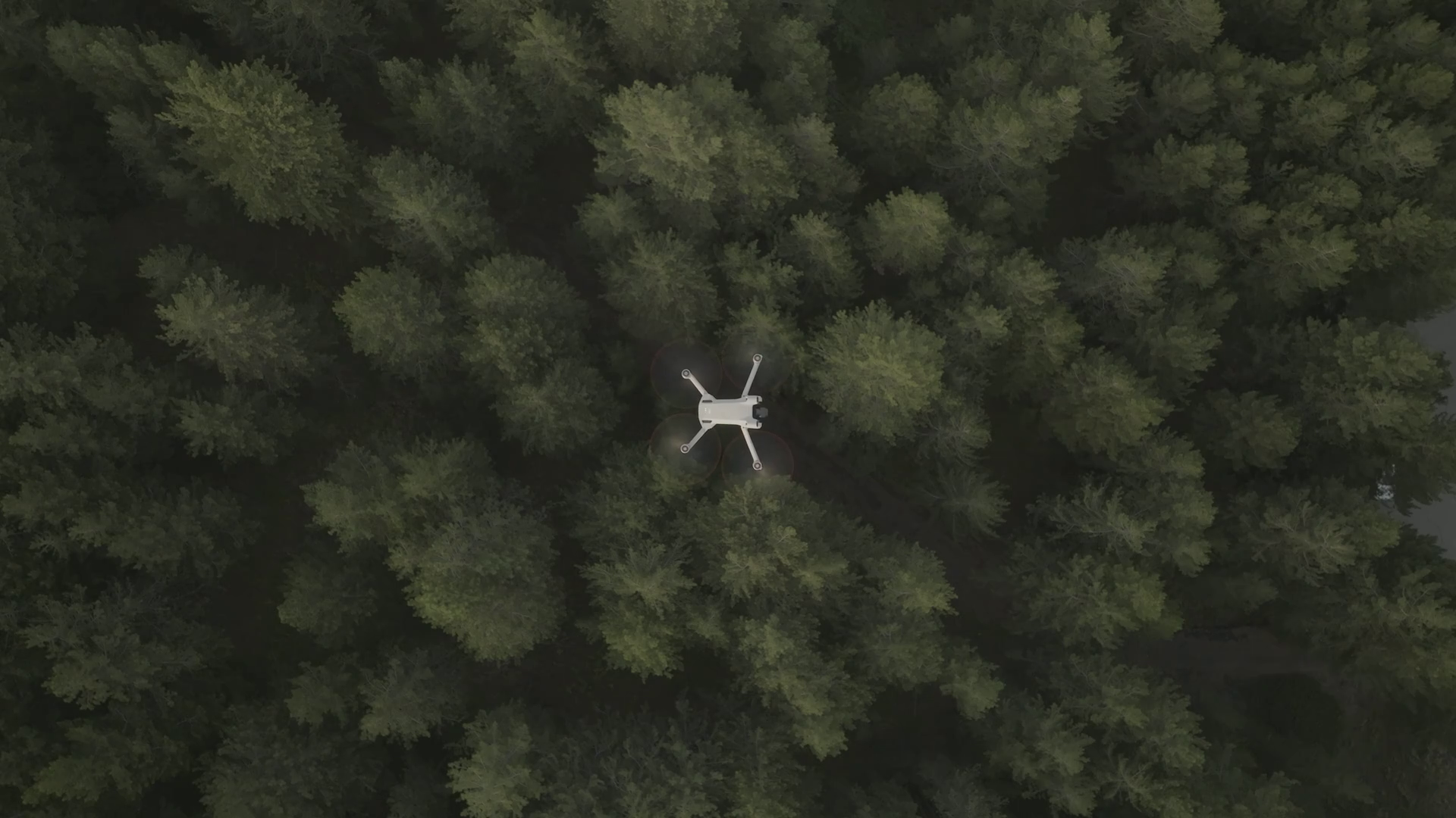 Aerial View Of Drone Over Forest On Etna Stock Footage SBV-347472271 ...