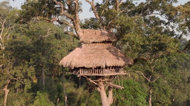 Tree House Stock Footage: Royalty-Free Video Clips - Storyblocks