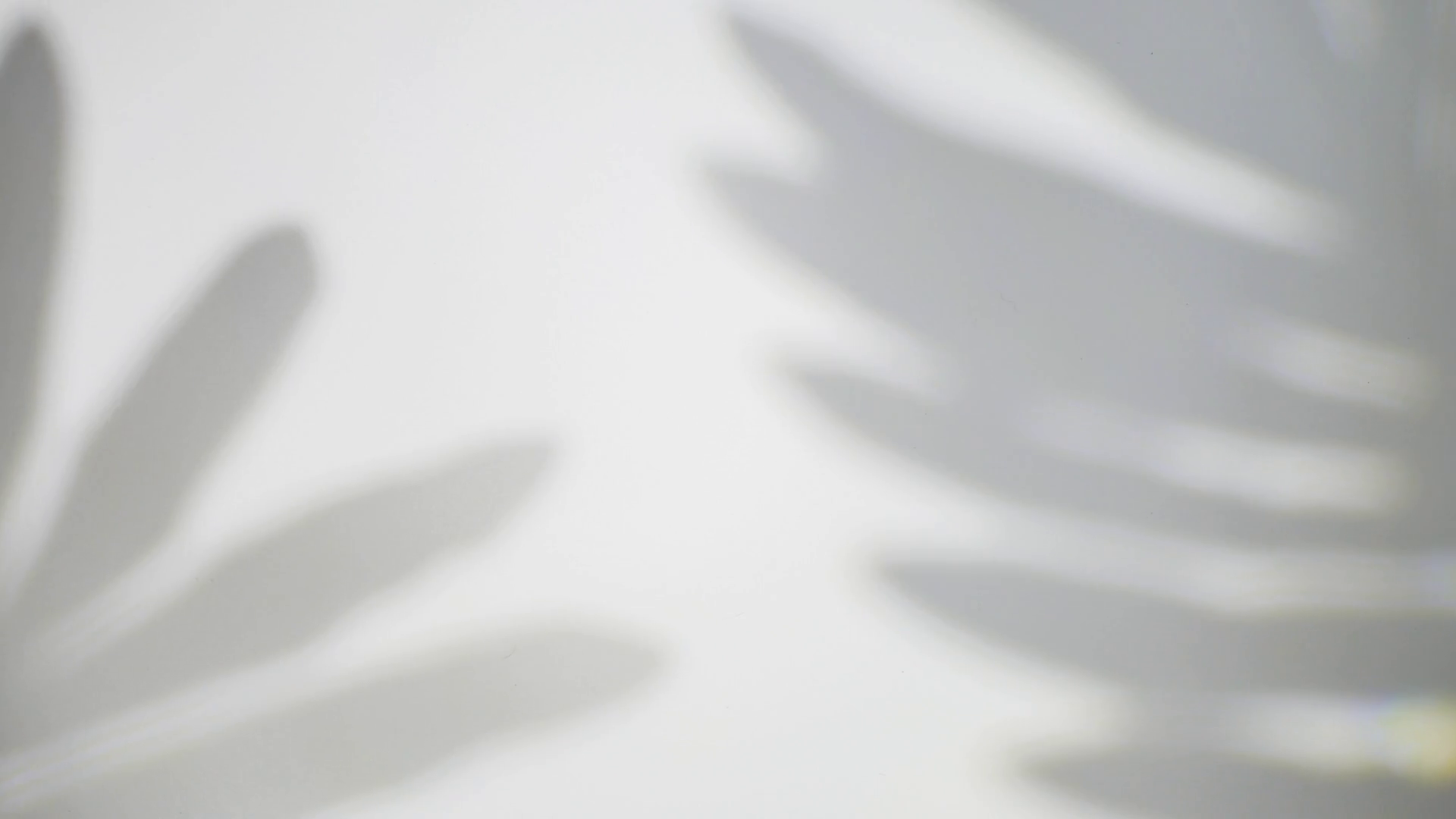 Transparent Shadows Overlay Effect Stock Footage SBV-347771965 ...