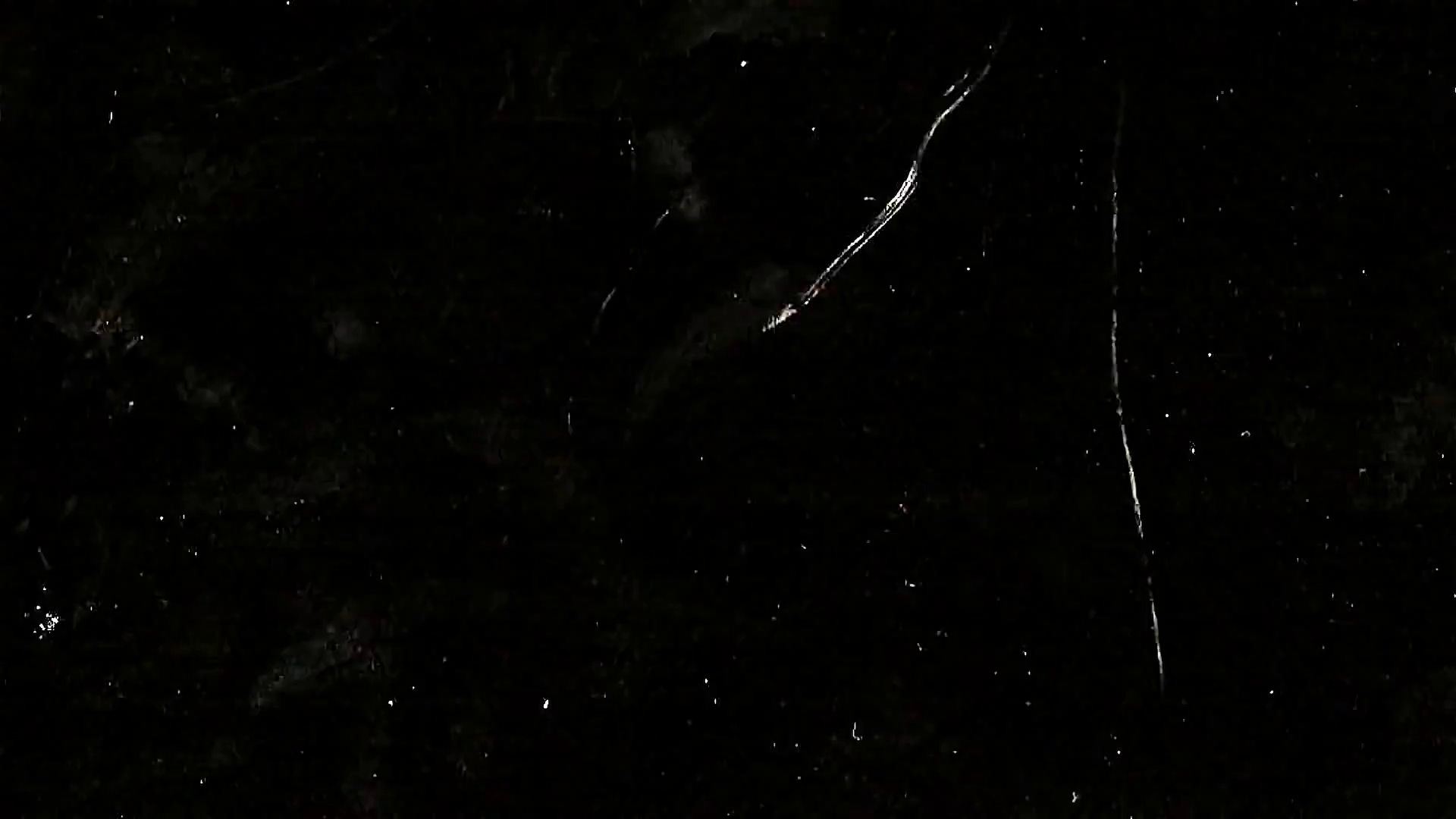 Dust Grain On Old Damaged Film Surface 16mm Stock Motion Graphics SBV ...