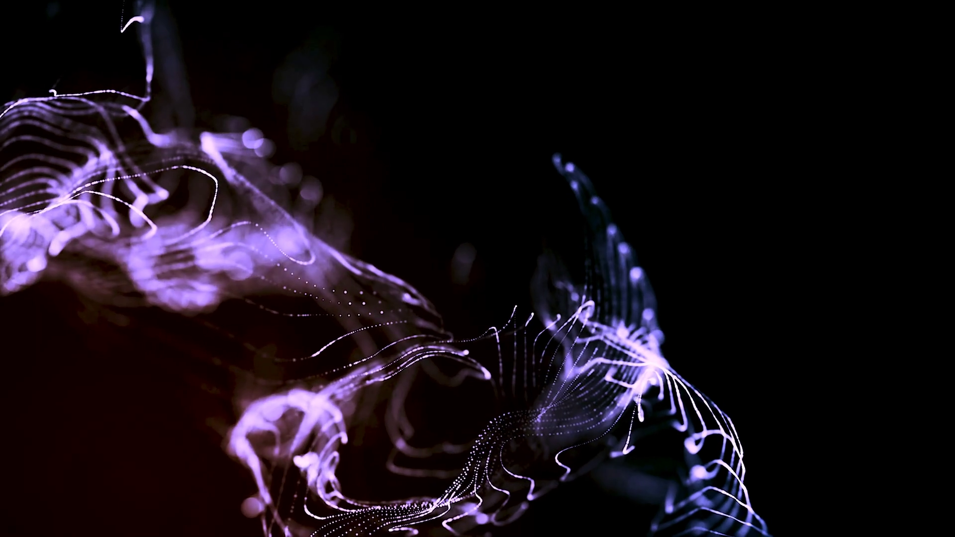 Aesthetic Magical Abstract Light Particles Stock Motion Graphics SBV ...