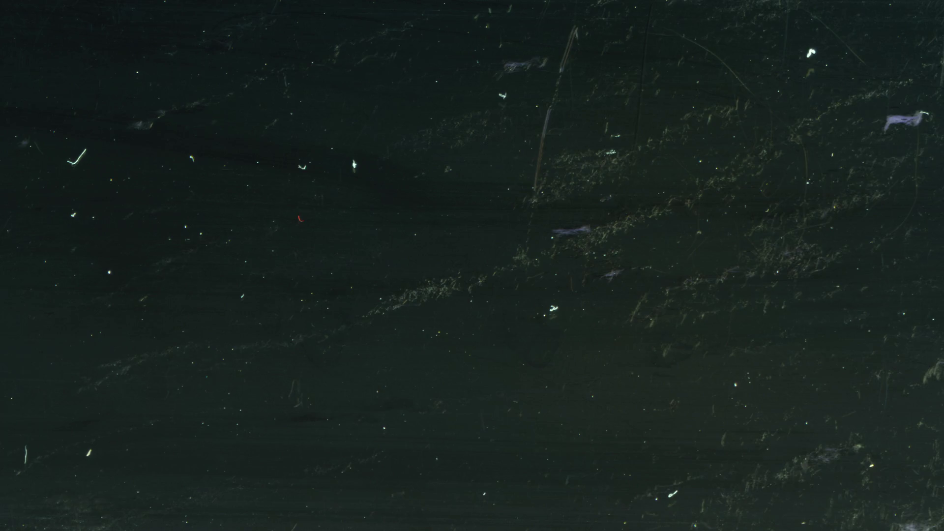 Damage With Old Tv Screen Interference Stock Motion Graphics SBV ...