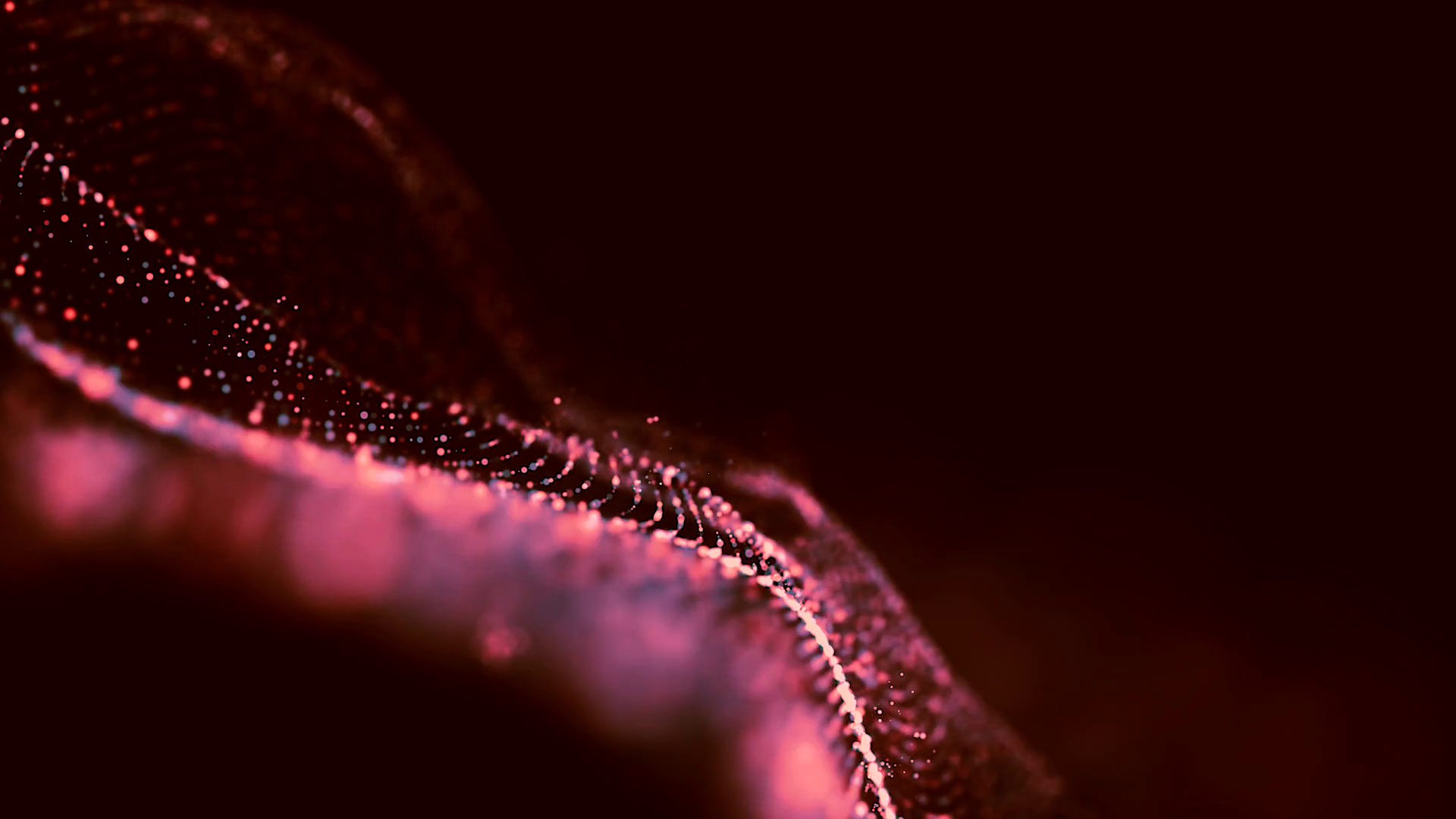 Network Connection Data Structureinformation Stock Motion Graphics SBV ...