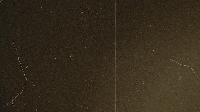 Film | Effects and Overlays motion backgrounds - Storyblocks