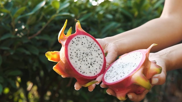 Core Fruit Stock Footage: Royalty-Free Video Clips - Storyblocks