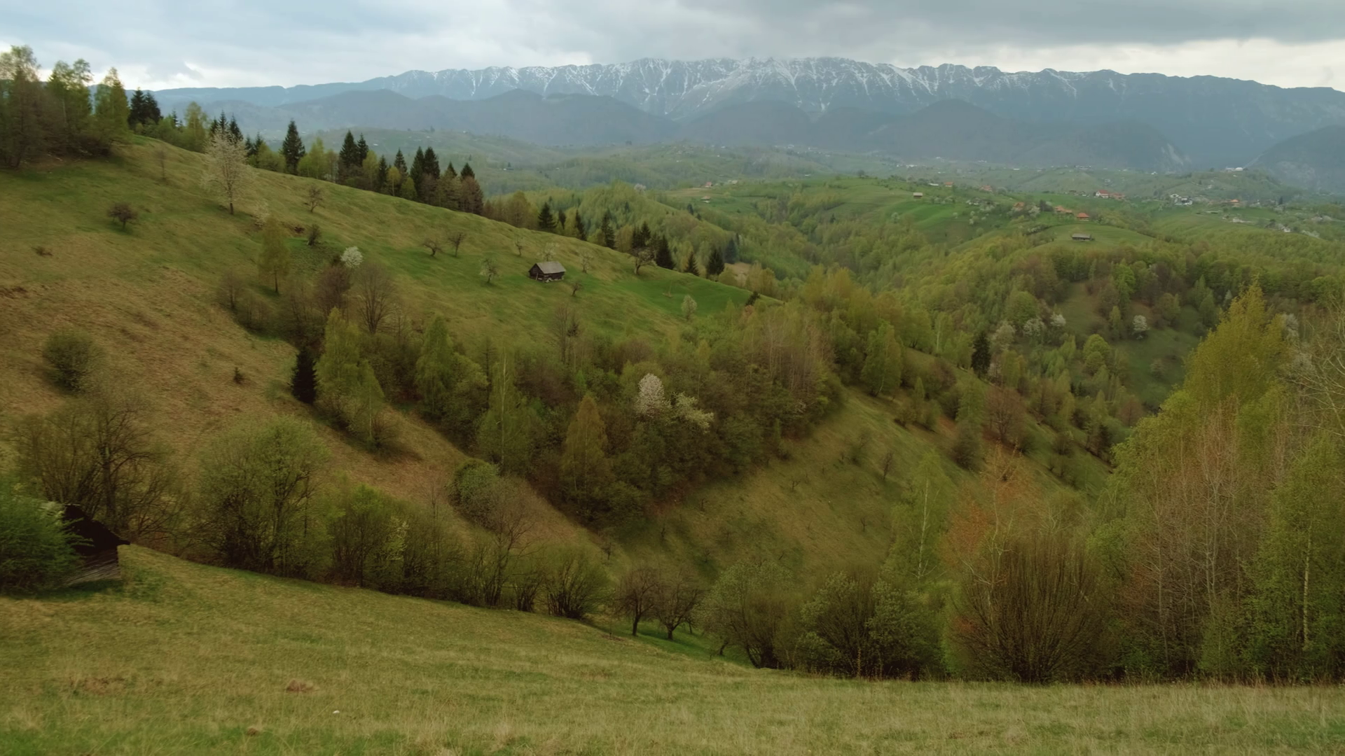 Panning View Of Wonderful Pastoral Scene In Stock Footage SBV-352588110 ...