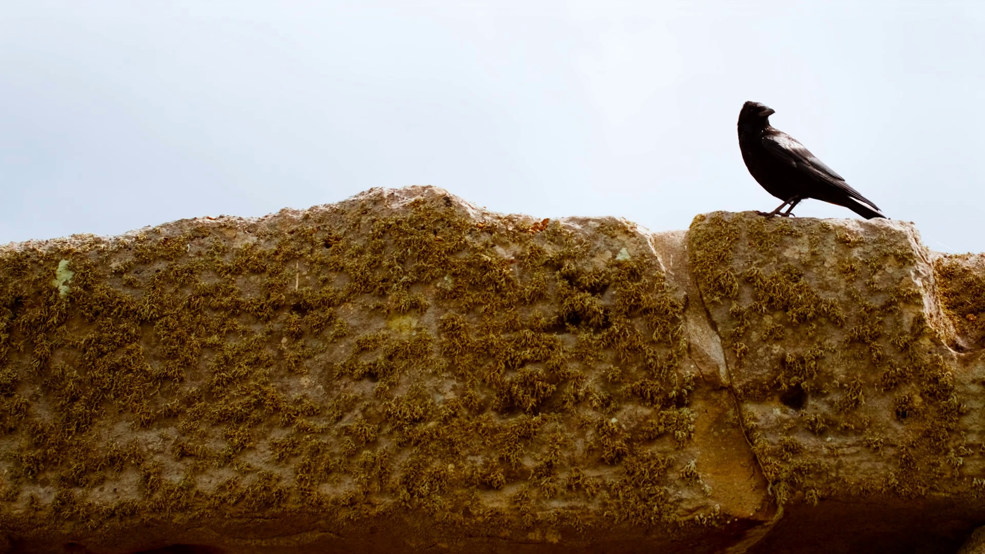 Prehistoric Stone Pillars Lintels Form Stock Footage SBV-352691082 ...