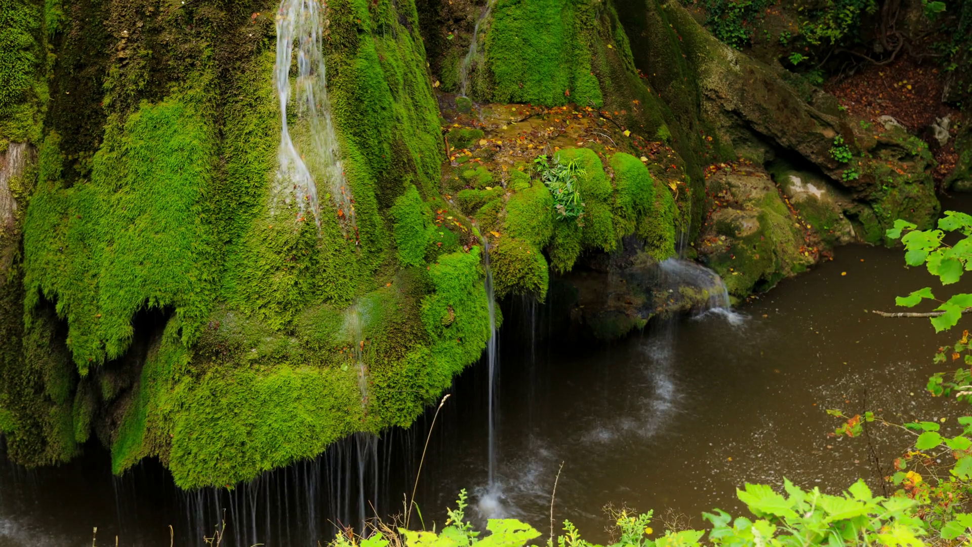 Bigar Waterfall In Transylvania Romania Stock Footage SBV-352541729 ...