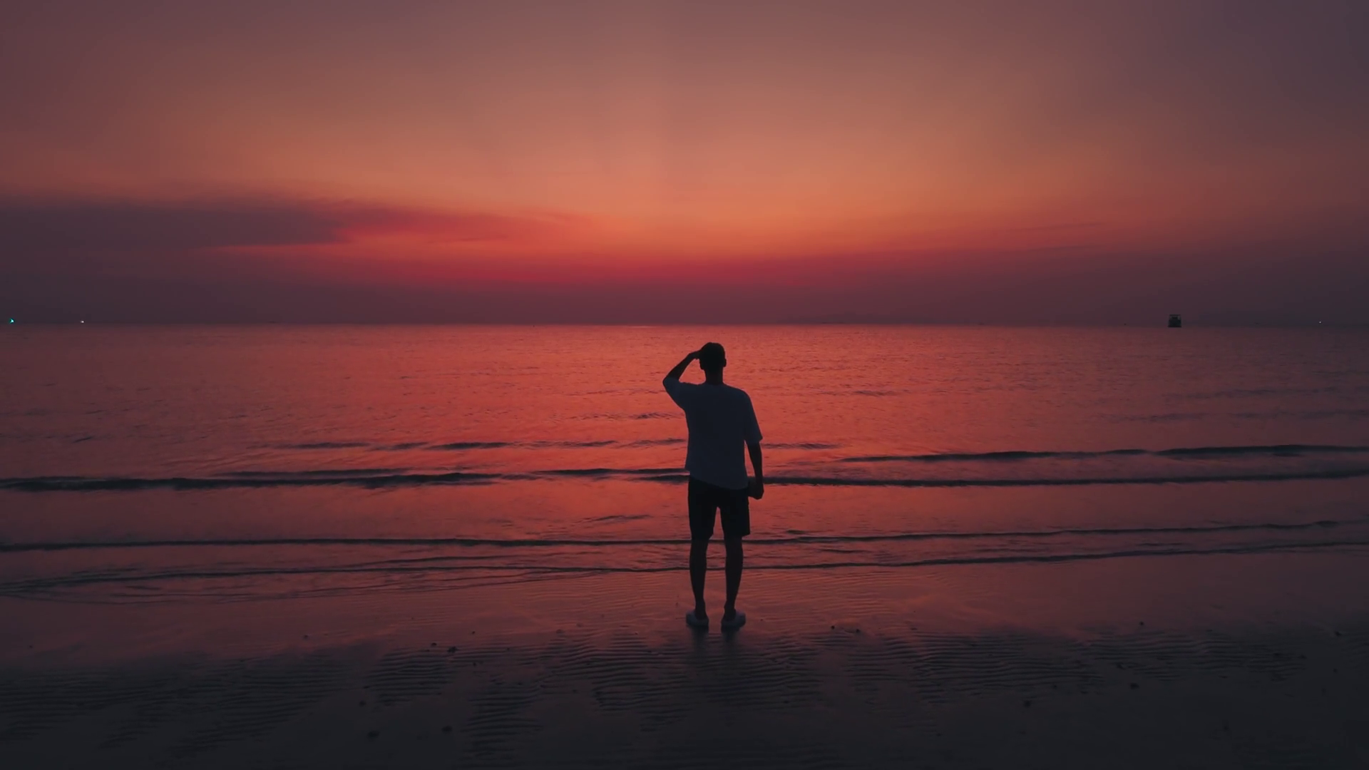 Back View Of Man Standing Near Sea At Sunset Stock Footage SBV ...