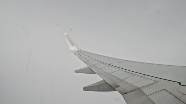 Travel Commercial Stock Footage: Royalty-Free Video Clips - Storyblocks