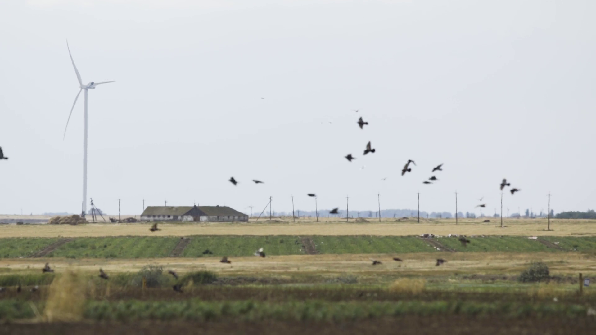Wind Turbines Near Rural Homestead With Stock Footage SBV-351679035 ...