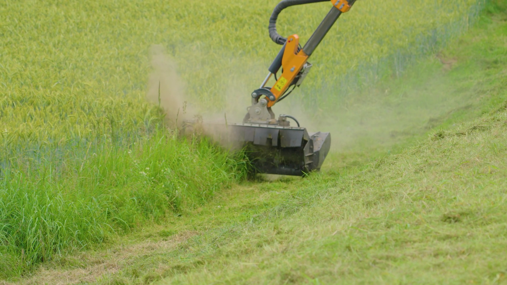 Mowing Tall Grass In Vibrant Green Field On Stock Footage SBV-352367742 ...