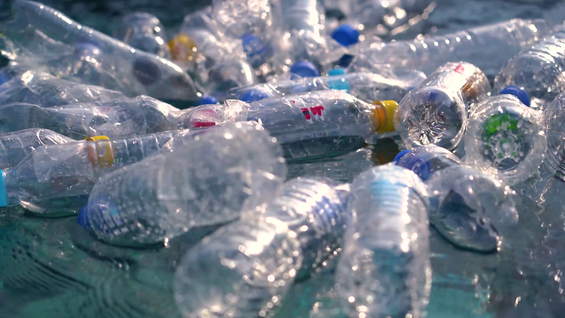 Impact Of Plastic Waste On Ocean Ecology Stock Footage SBV-352123202 ...