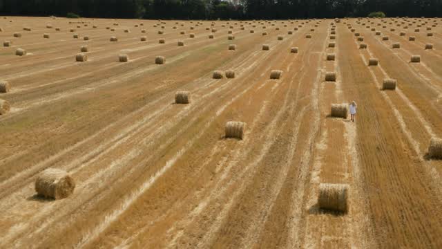 Field Of Hay Blowing In Wind Stock Footage: Royalty-Free Video Clips ...