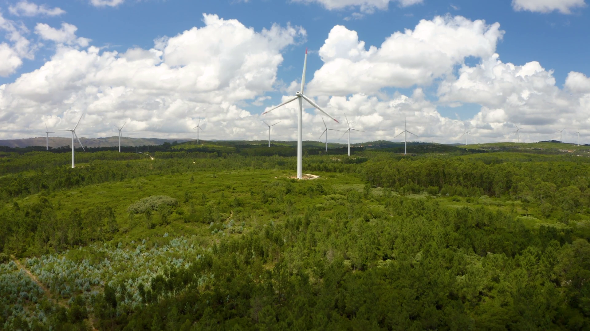 Aerial View Of Wind Turbines Farm Wind Farm Stock Footage SBV-351663980 ...