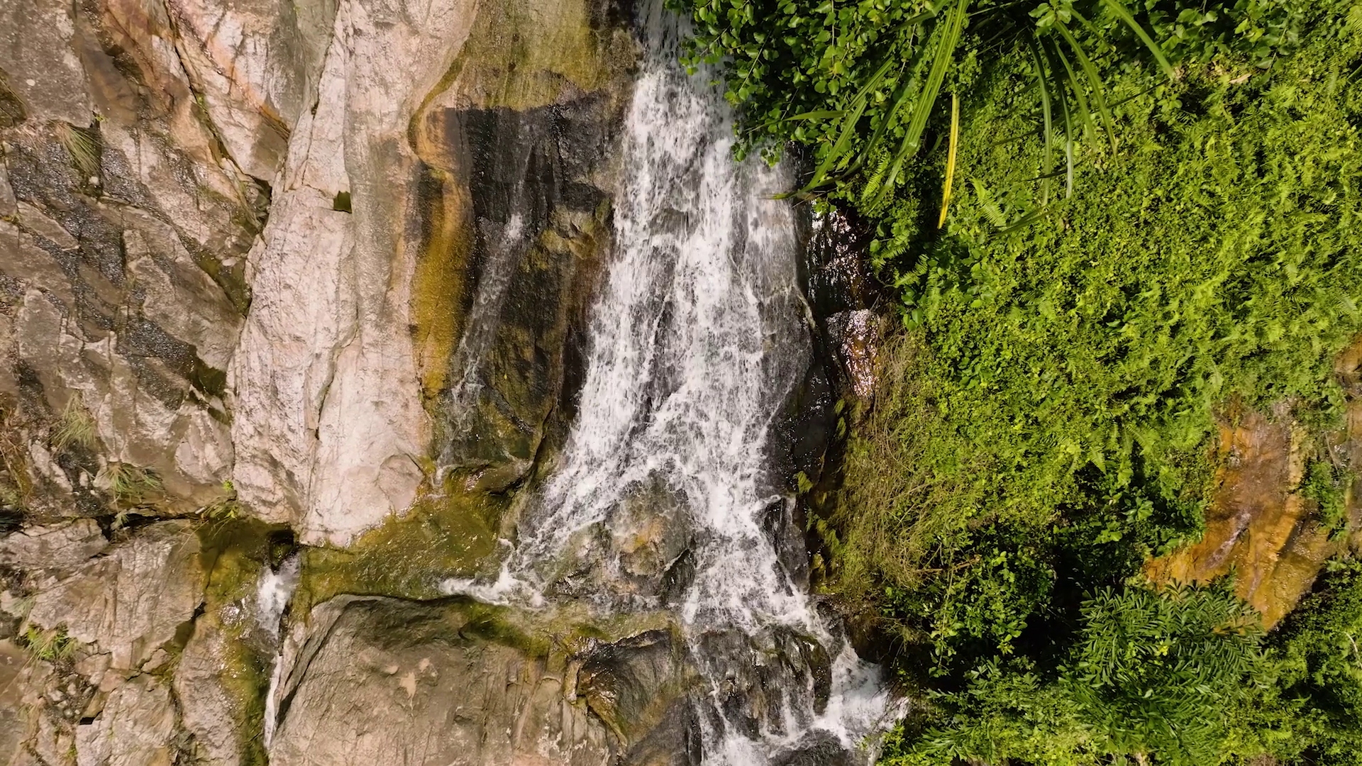 Steep Waterfall Flowing Through Lush Jungle Stock Footage SBV-352284064 ...