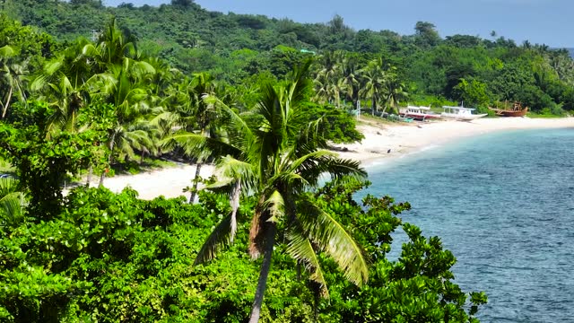 Tobago Island Stock Footage: Royalty-Free Video Clips - Storyblocks