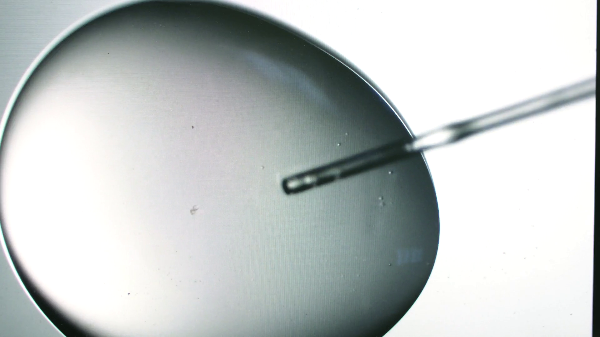 Macro Shooting Of Cryoprotectant Liquid Stock Footage SBV-338165380 ...