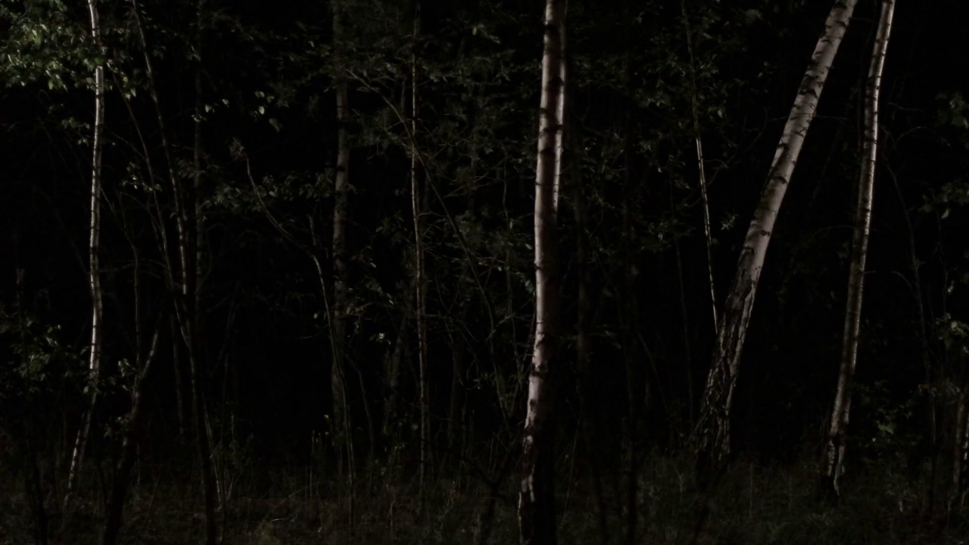 Scared Woman Running Through Forest At Night Stock Footage SBV ...