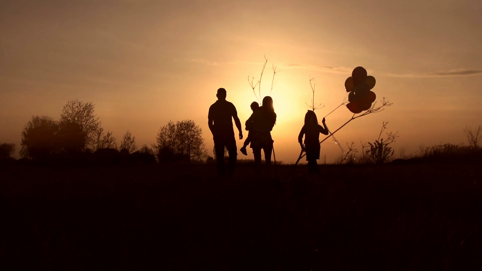 Silhouettes Of Happy Family Watching Sunset Stock Footage SBV-314583329 ...