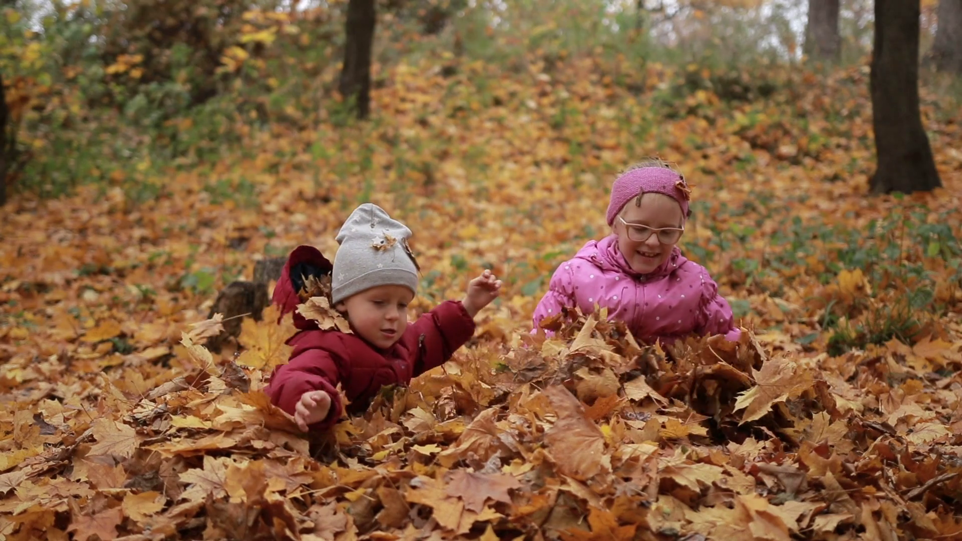 Two Happy Kids Throwing Fallen Leaves Up In Stock Footage SBV-318691864 ...
