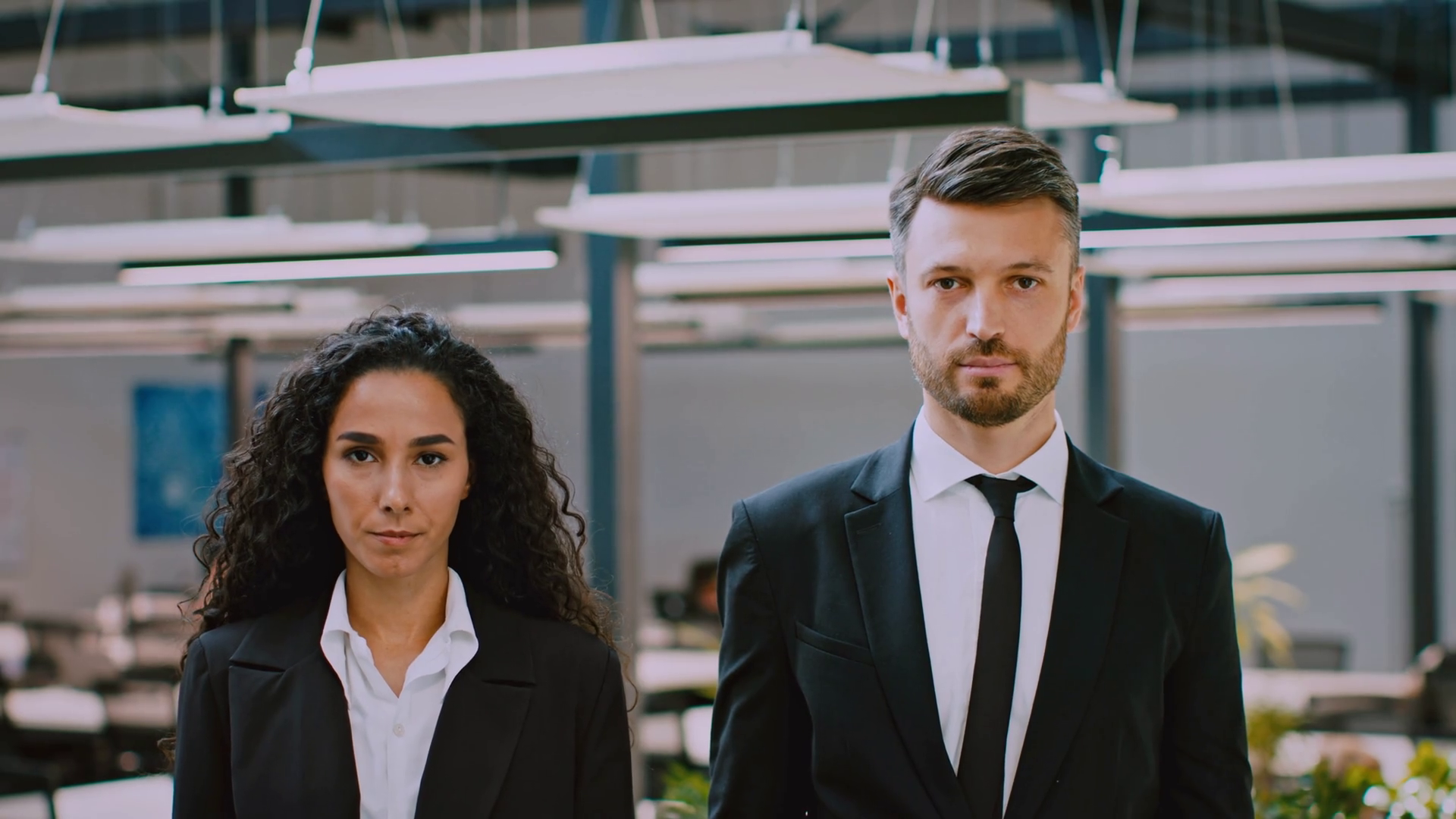 Two Professionals Dressed In Formal Business Stock Footage SBV ...