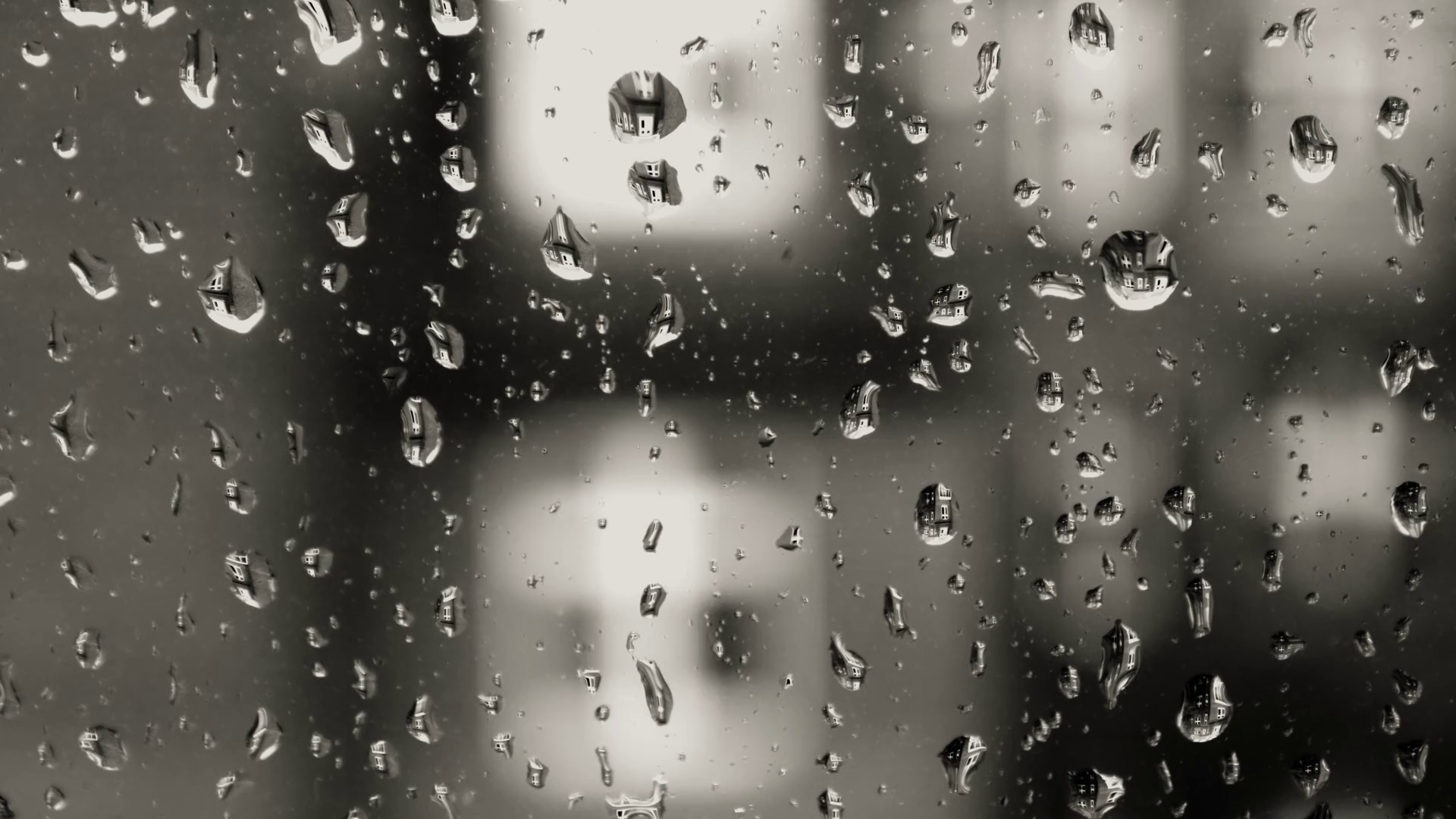 Close Up Of Authentic Raindrops Dripping Stock Footage SBV-348610329 ...