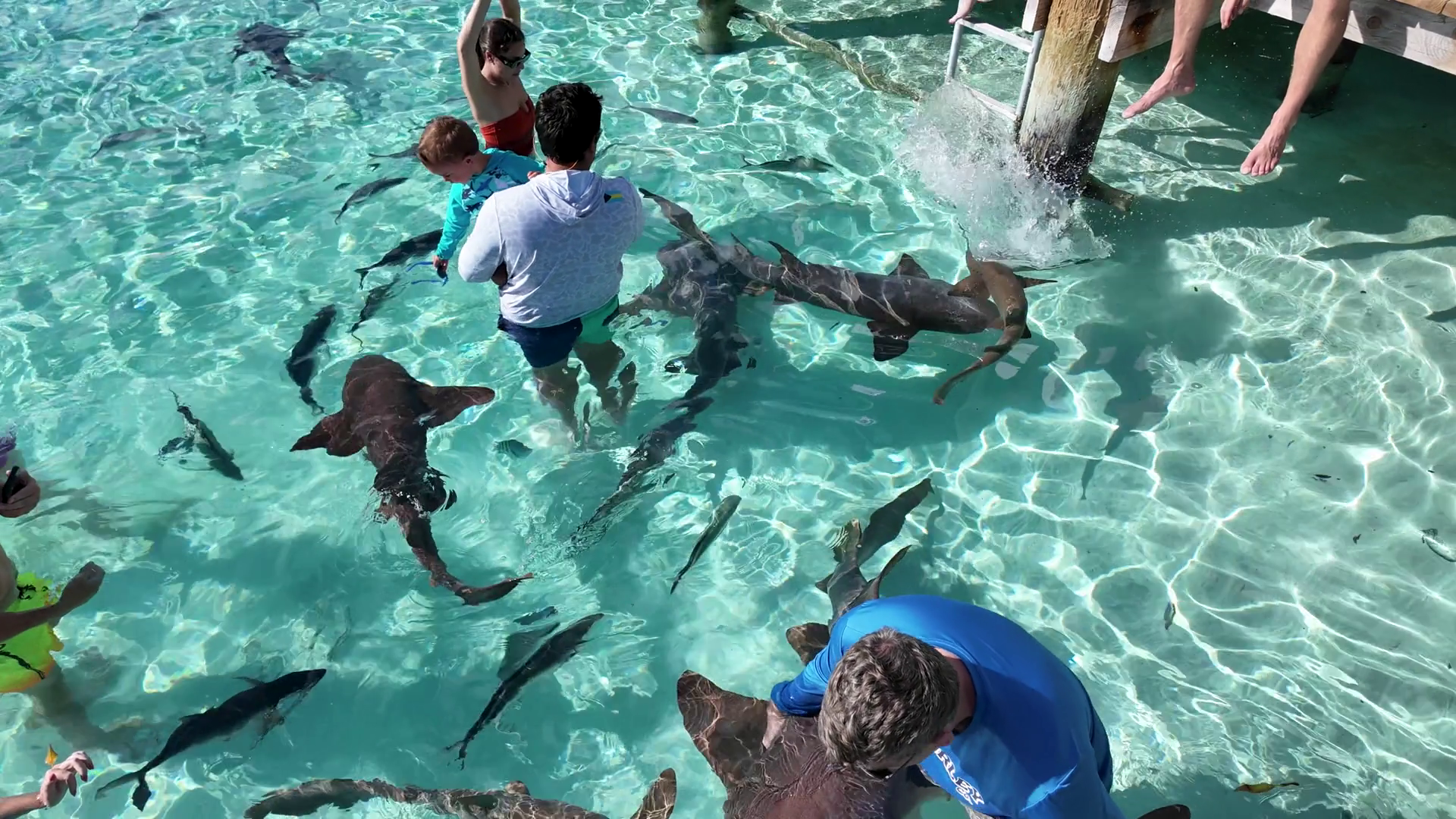 Exuma Islands Black Point Bahamas - 1222025 Stock Footage SBV-353392643 ...