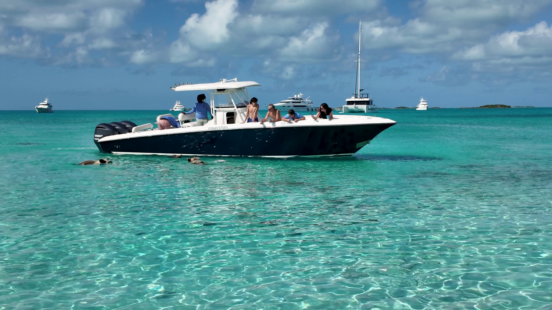 Pig Beach At Exuma In Black Point Bahamas Stock Footage SBV-353392582 ...
