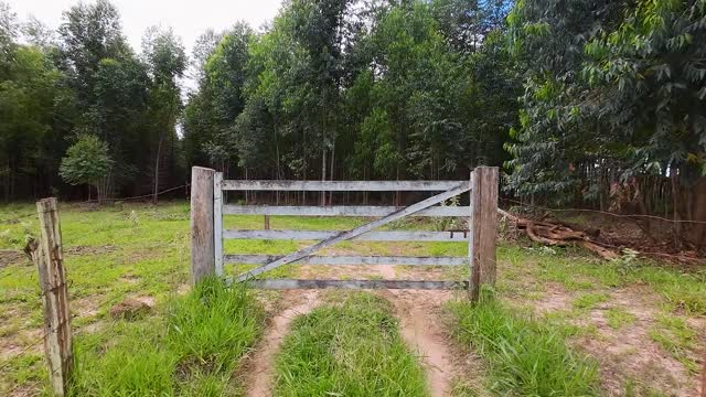 Farm Gate Stock Footage: Royalty-Free Video Clips - Storyblocks