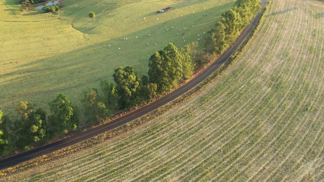 Flood In Farm Area Stock Footage: Royalty-Free Video Clips - Storyblocks