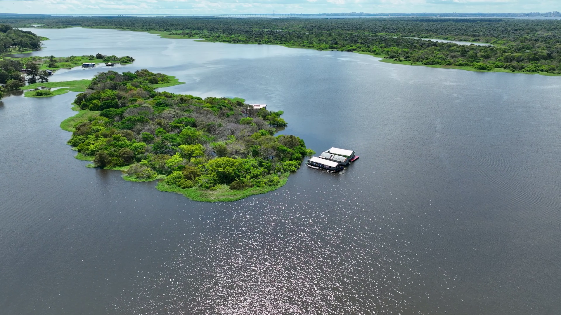 Amazon Forest At Manaus Amazonas Brazil. Skyline River Biome Riverain ...