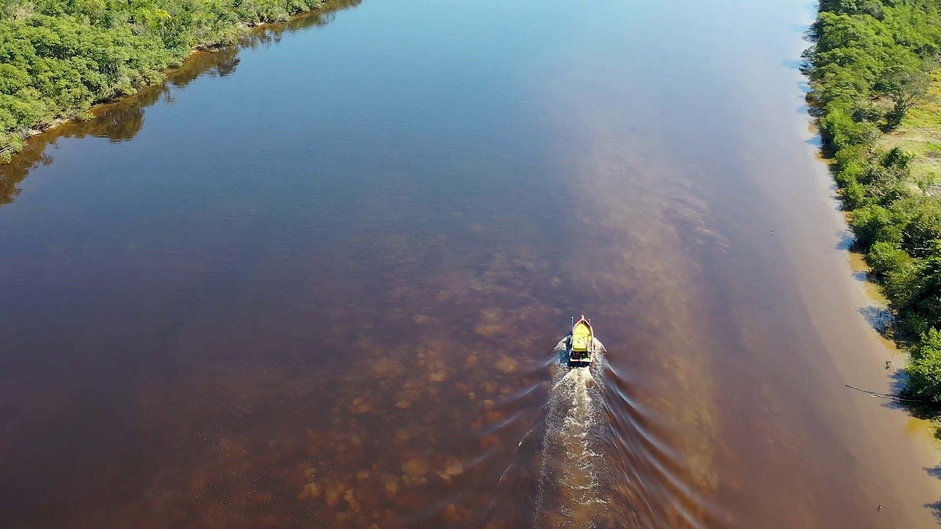 Amazon Rainforest Natural Landscape Amazon Stock Footage SBV-347806555 ...