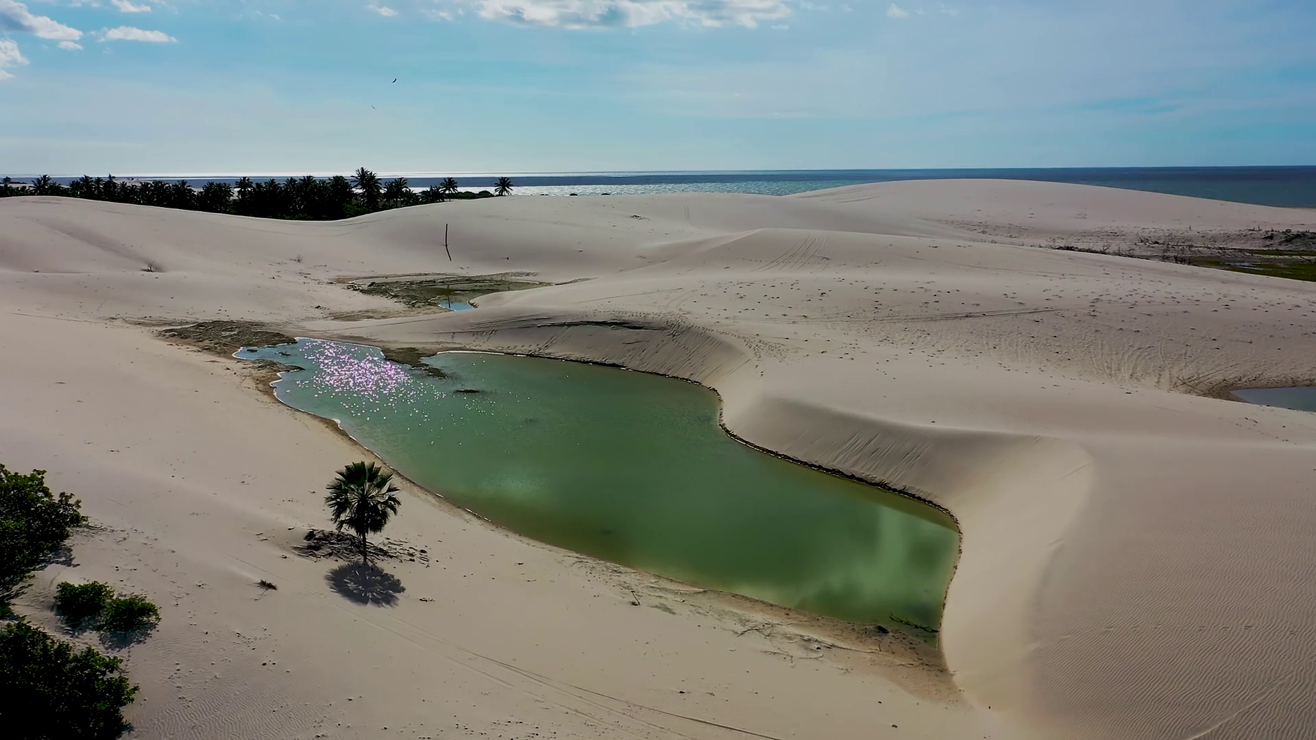 Jericoacoara Ceara Brazil. Aerial landscape of tropical beach scenery ...