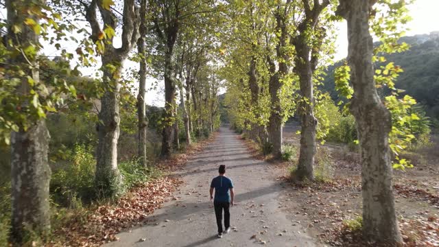 Calm Walk Stock Footage: Royalty-Free Video Clips - Storyblocks