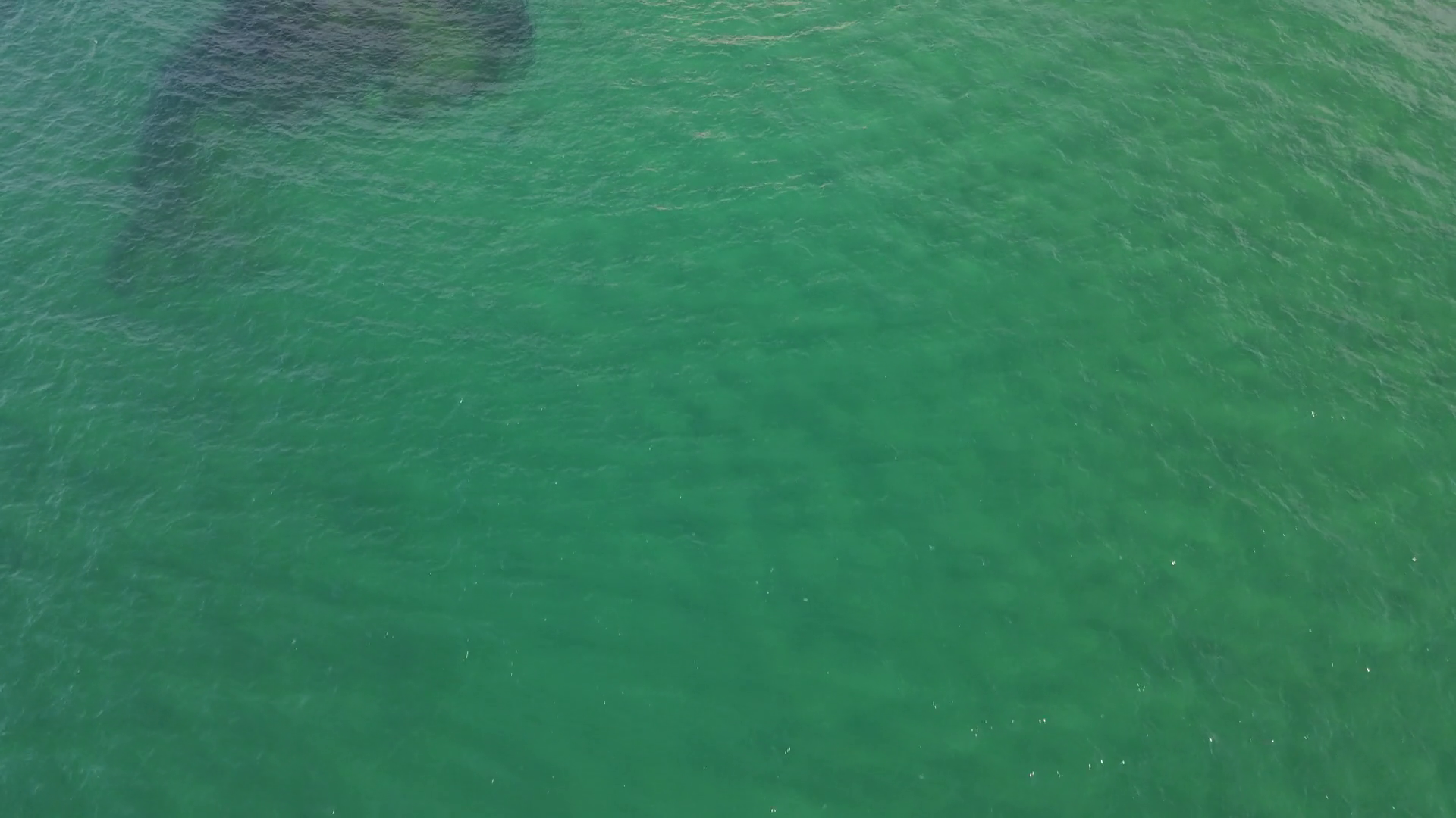 Aerial Turquoise Sea Waters View Of Clear Stock Footage SBV-347648129 ...