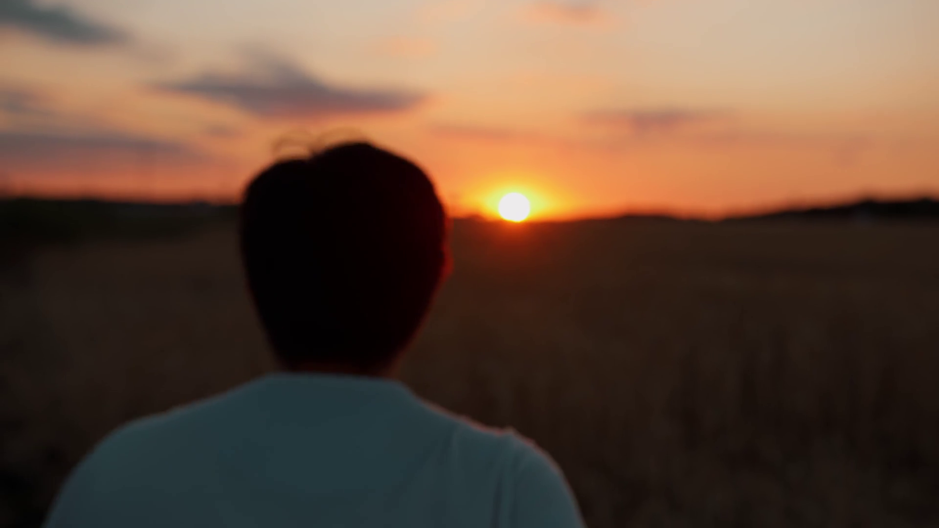 Young Man Runs Across Field Towards Sunset Stock Footage SBV-348393180 ...