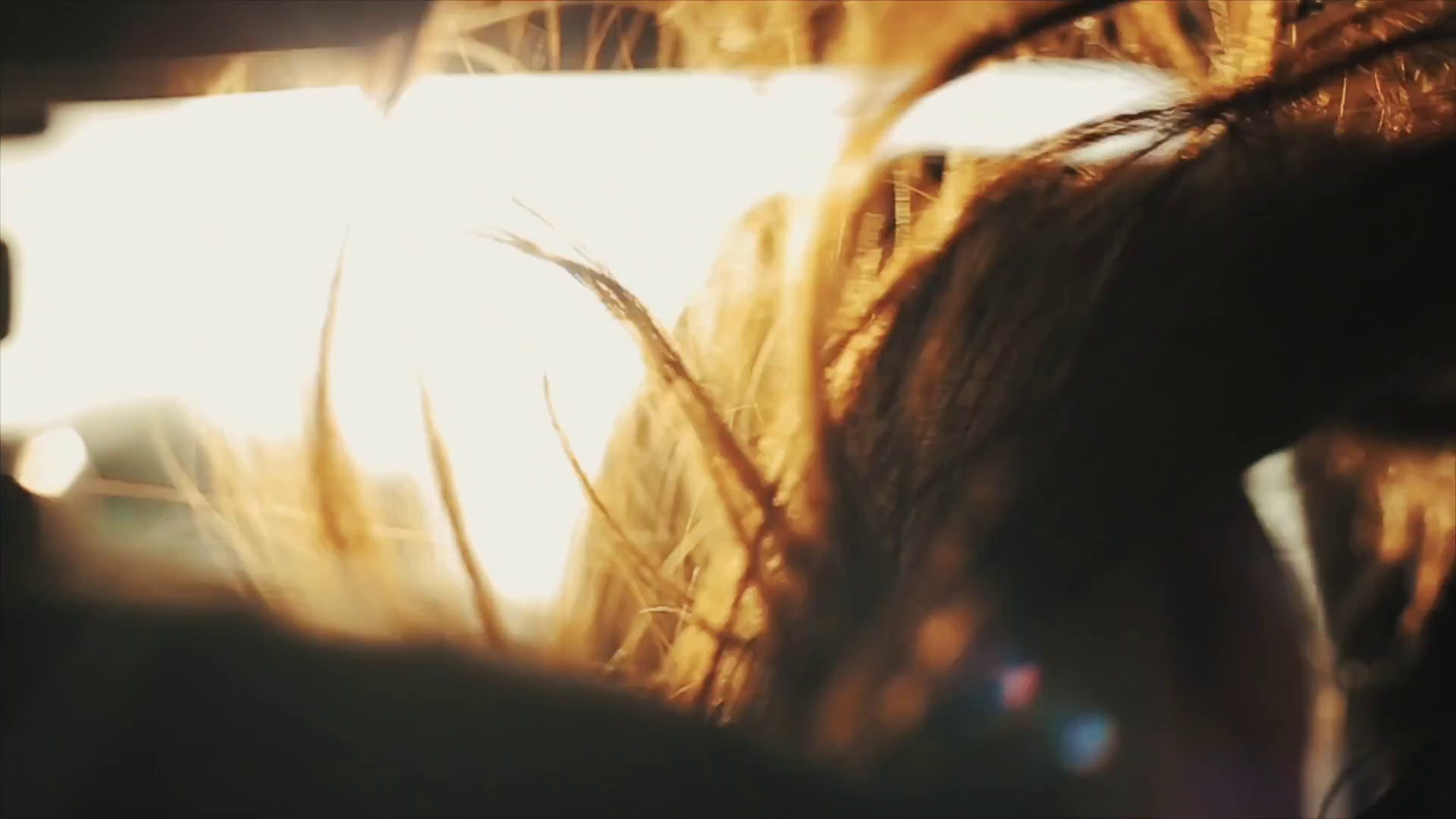 Brunettes Hair Flying In Wind Stock Footage SBV-327901829 - Storyblocks