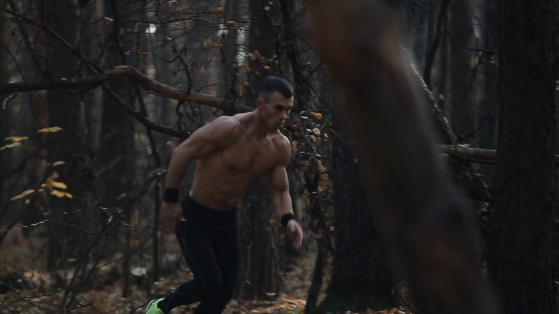 Athletic Runner Enjoys Scenic Forest Run Stock Footage SBV-338198131 ...