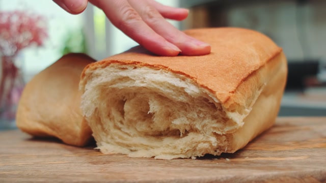 Hans Rolly Video Stock Footage: Royalty-Free Video Clips - Storyblocks