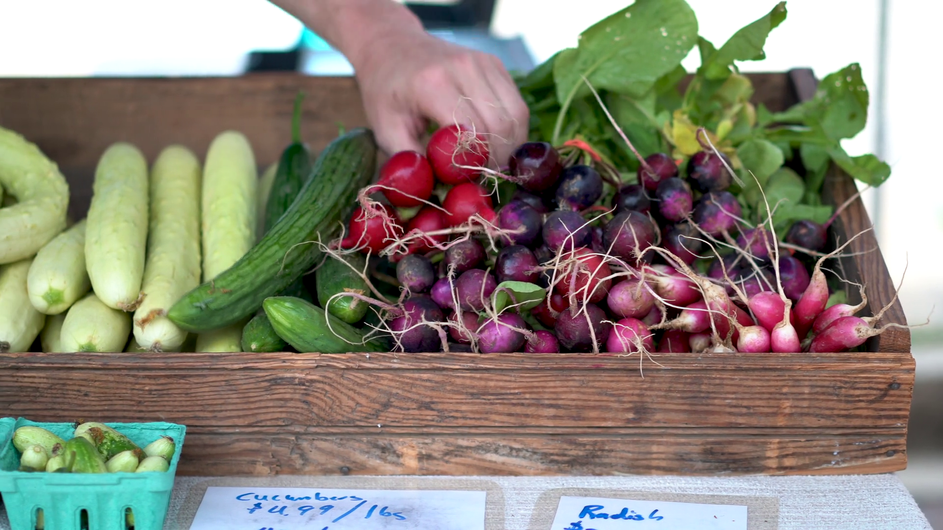 Dolly To Left Hand Adjusts Radishes Stock Footage SBV-352628811 ...