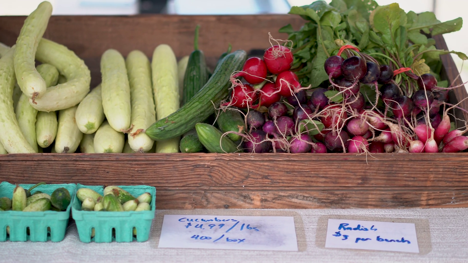 Dolly To Right Showing Radishes Cucumbers On Stock Footage SBV ...