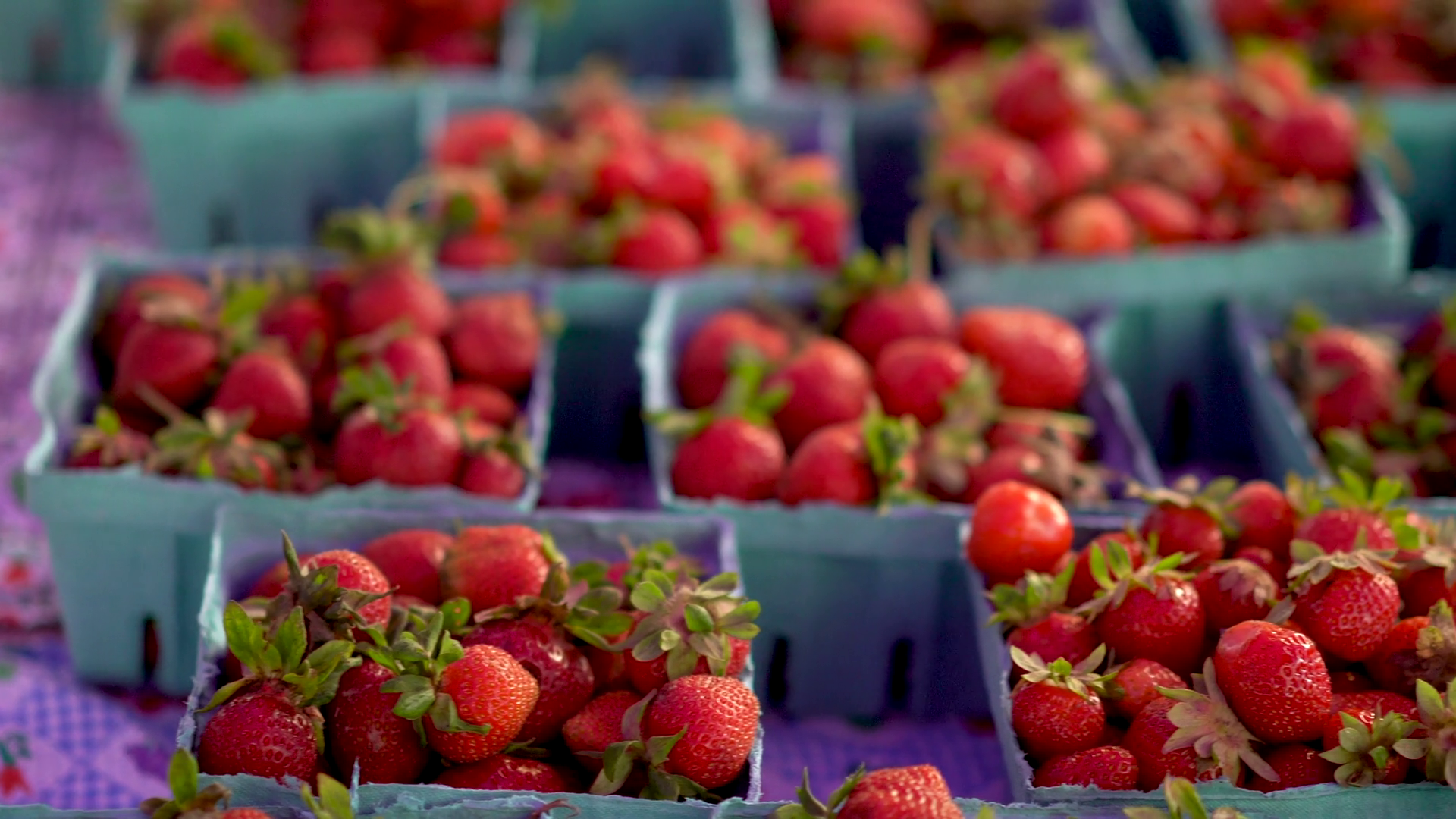 Dolly To Left Showing Fresh Strawberries In Stock Footage SBV-352628832 ...