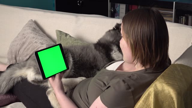 Green Screen Person | Animals stock footage - Storyblocks