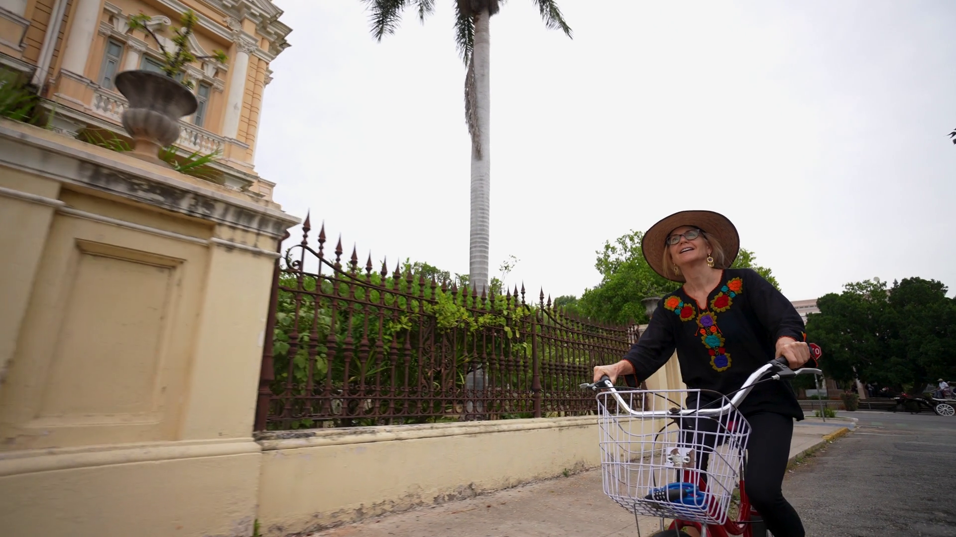 Laughing Happy Fun Mature Elderly Woman In Stock Footage SBV-352777943 ...