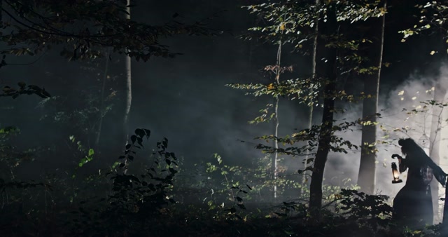Evil Forest Stock Footage: Royalty-Free Video Clips - Storyblocks