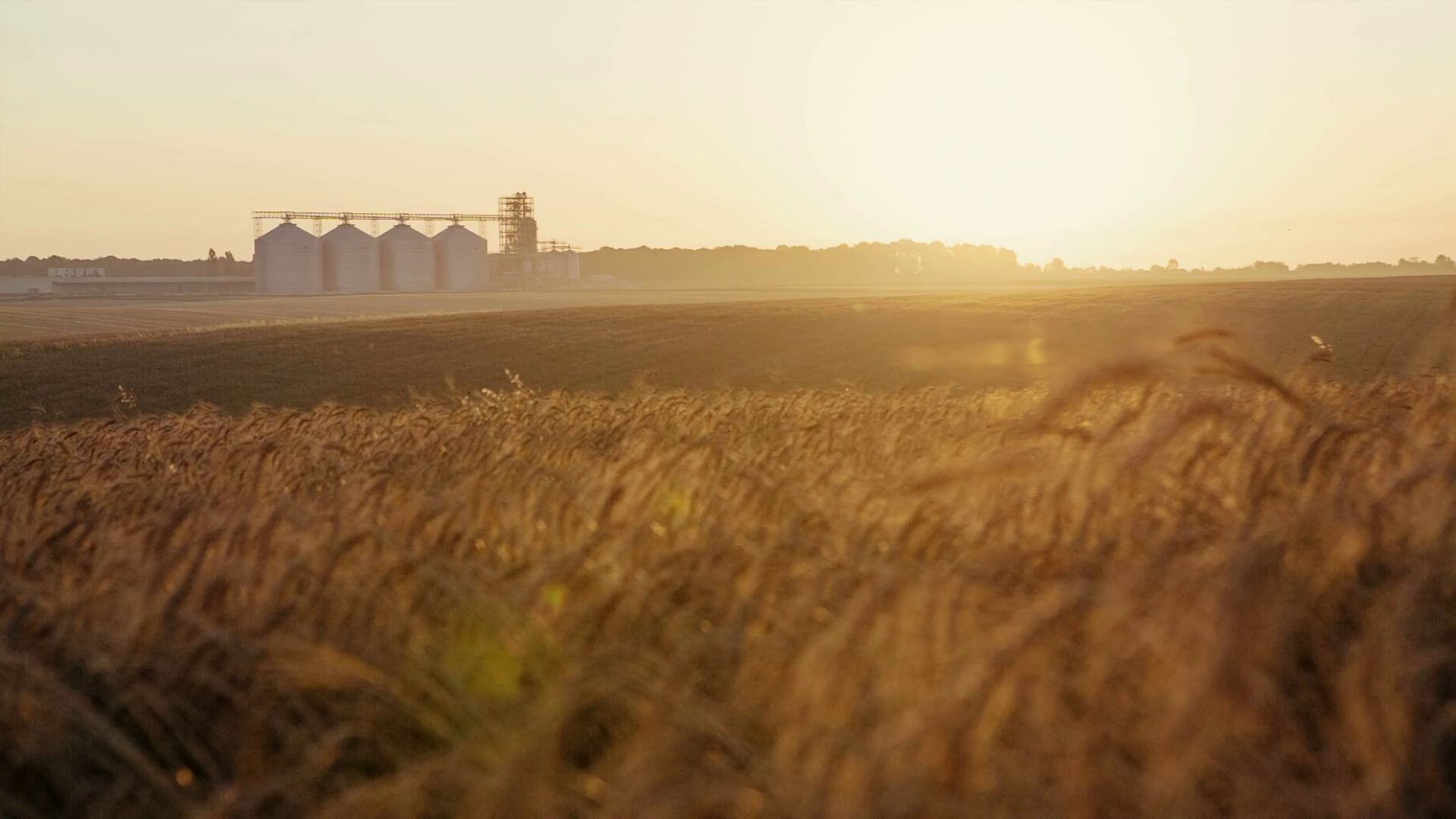 Grain Silos Wheat Field At Sunrise Stock Footage SBV-347618870 ...