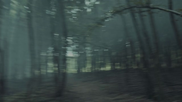 Flee Stock Footage: Royalty-Free Video Clips - Storyblocks