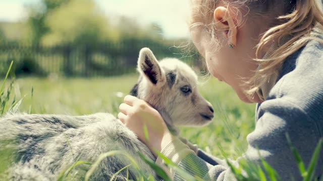 Girl Affectionate Stock Footage: Royalty-Free Video Clips - Storyblocks