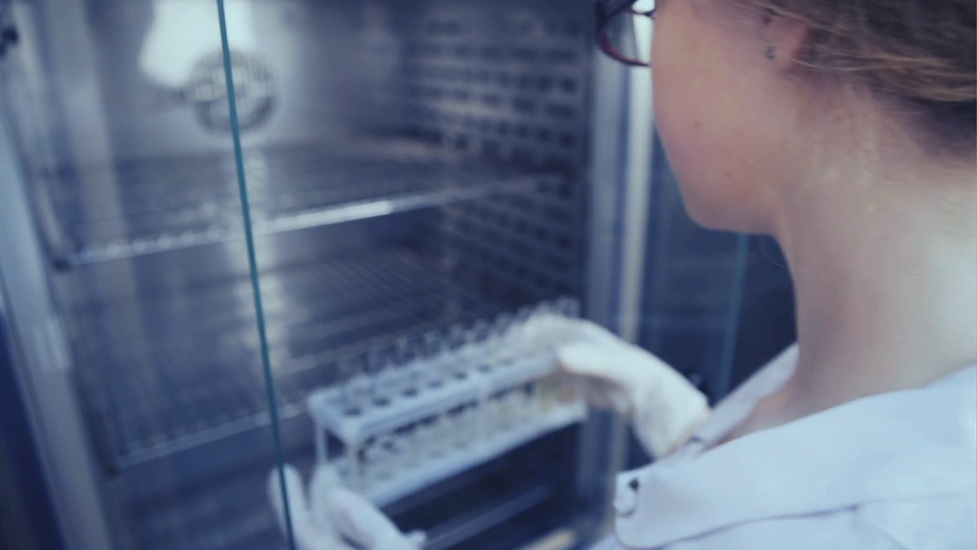 Female Putting Test Tubes In Incubator Stock Footage SBV-347621900 ...